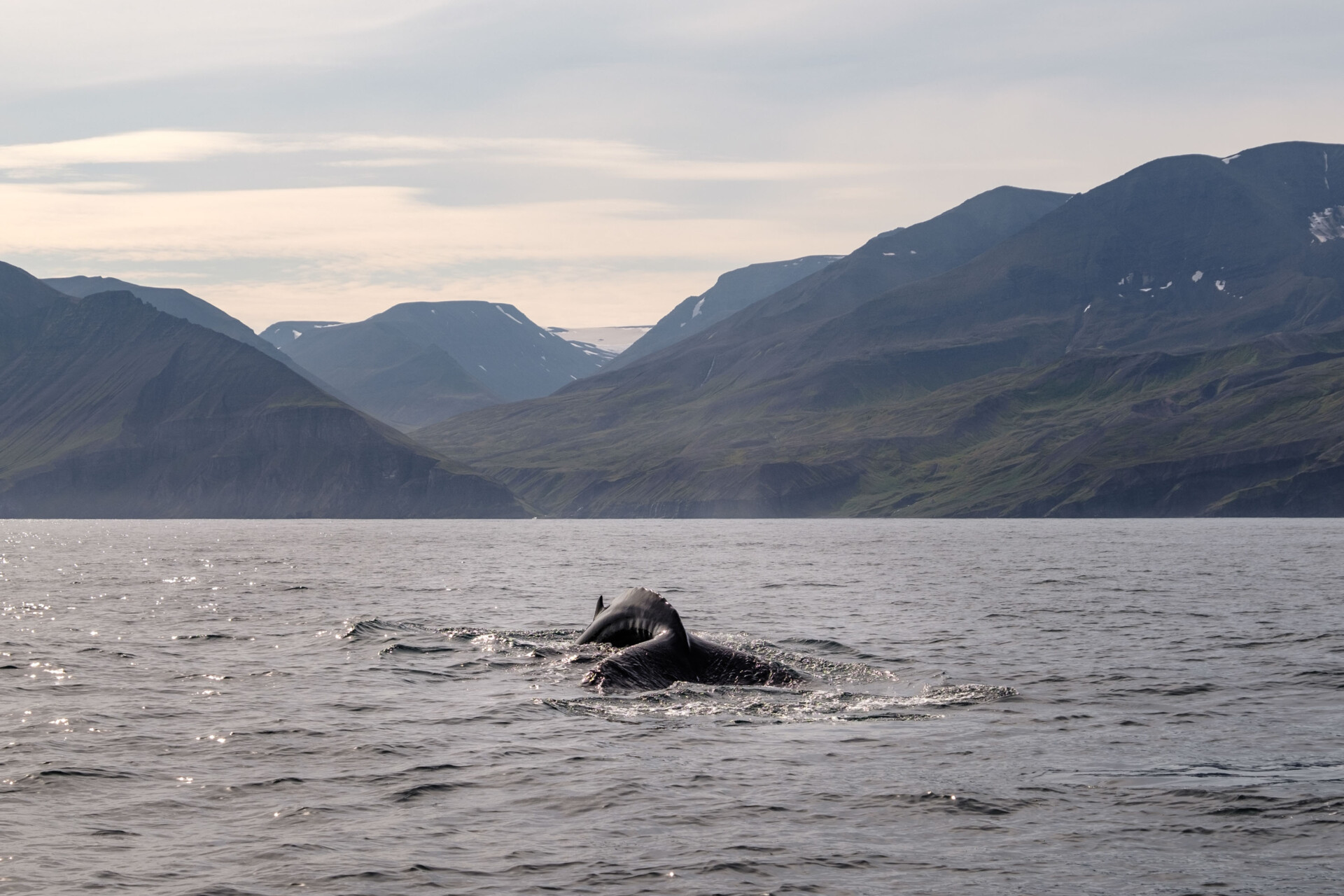 Ernst van Raaphorst - Photography