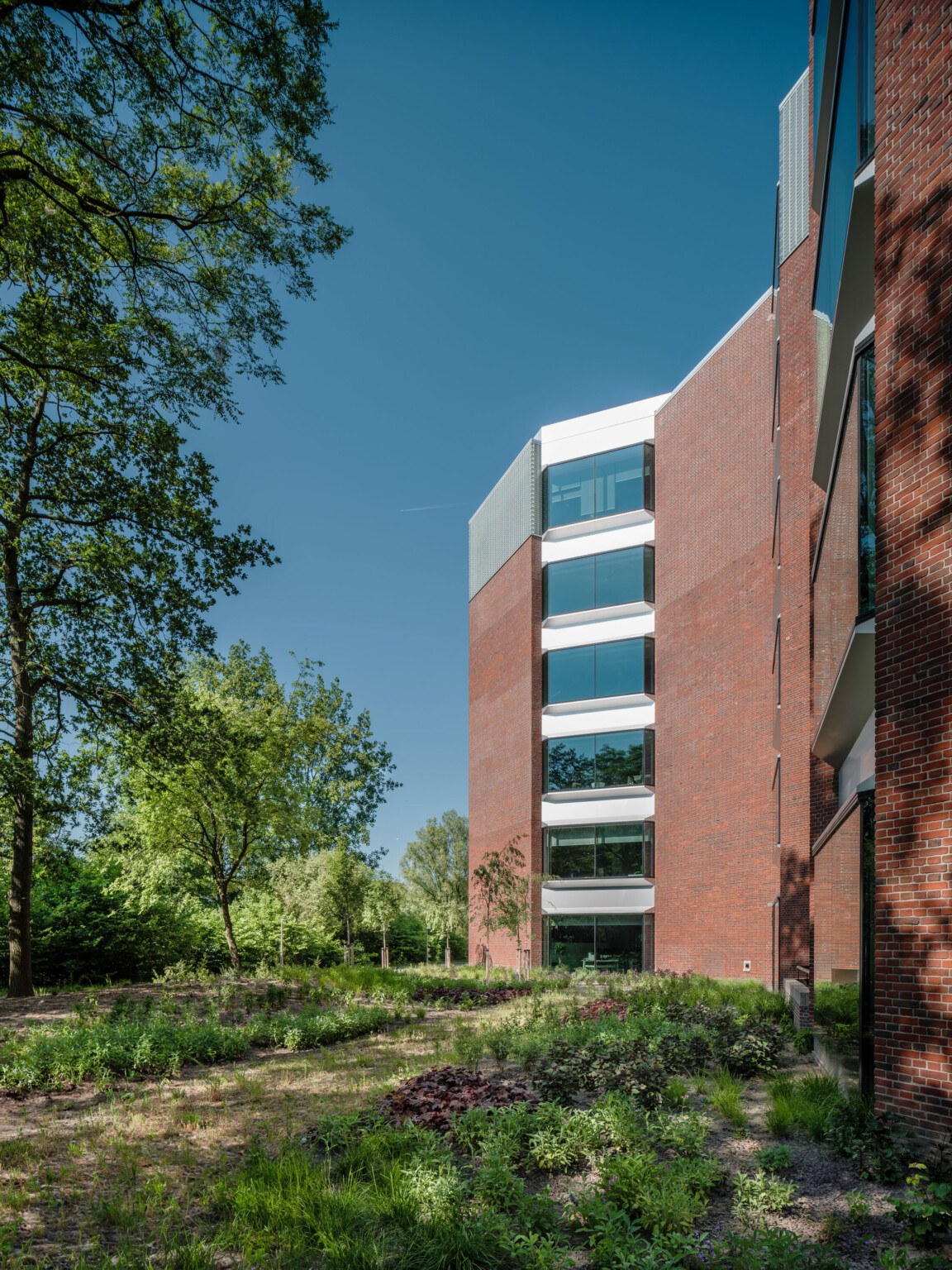 EDGE Amsterdam West - Ernst van Raaphorst